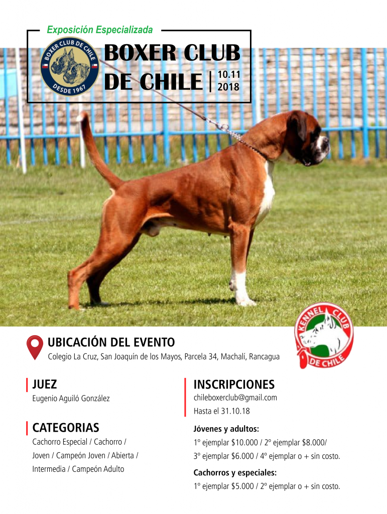 EXPO ESPECIALIZADA RAZA BOXER. | Kennel Club de Chile